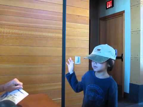 My son making the Junior Ranger Oath at Mount Rainier Natio - YouTube