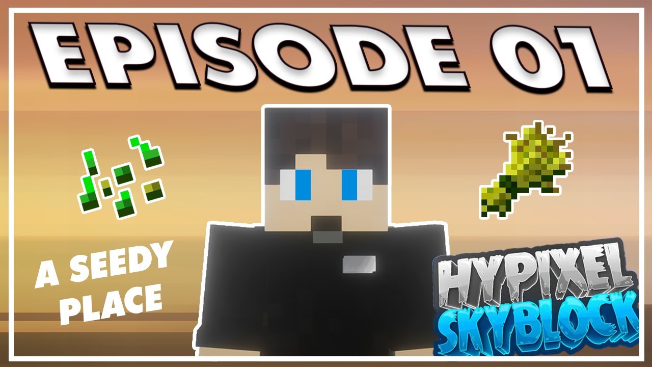 A SEEDY PLACE🌱 - Hypixel Skyblock🏝️ EP. 1 - YouTube