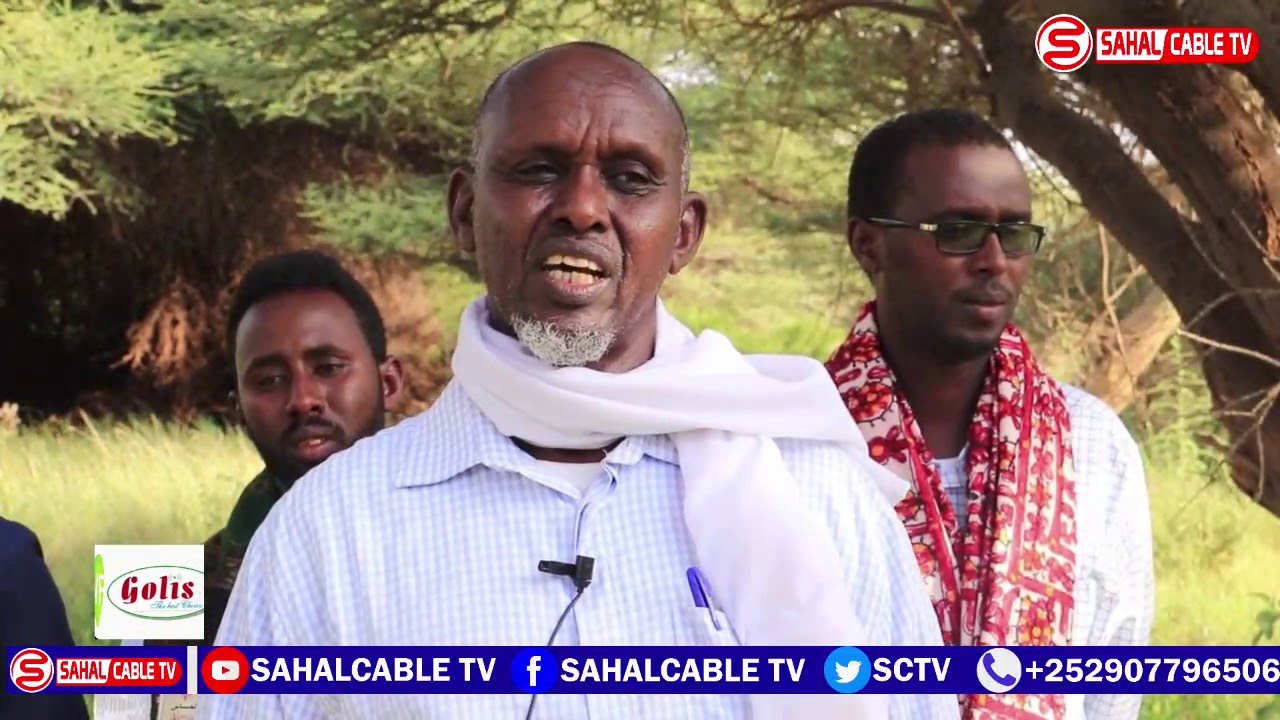 Magaloyinka sheerbi iyo dhahar ayaa qaab isku tashi ah ubilabaya wajiga ...