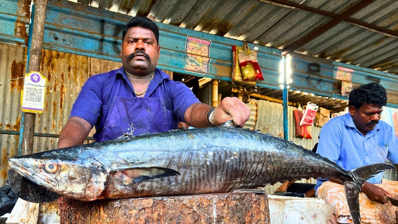 KASIMEDU SPEED SELVAM SEER FISH CUTTING VIDEO \ cutting focus - YouTube
