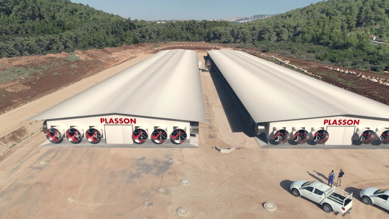 Plasson Livestock - YouTube
