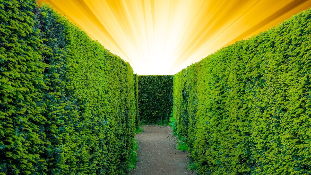 NAVIGATING LIFE'S MAZE: A SIMPLE GUIDE TO FINDING YOUR WAY - YouTube