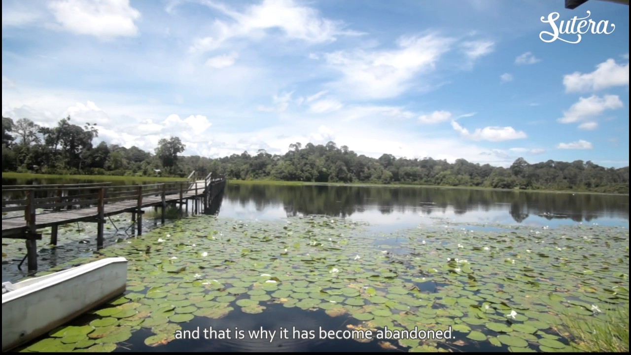 Revive Tasek Merimbun - YouTube
