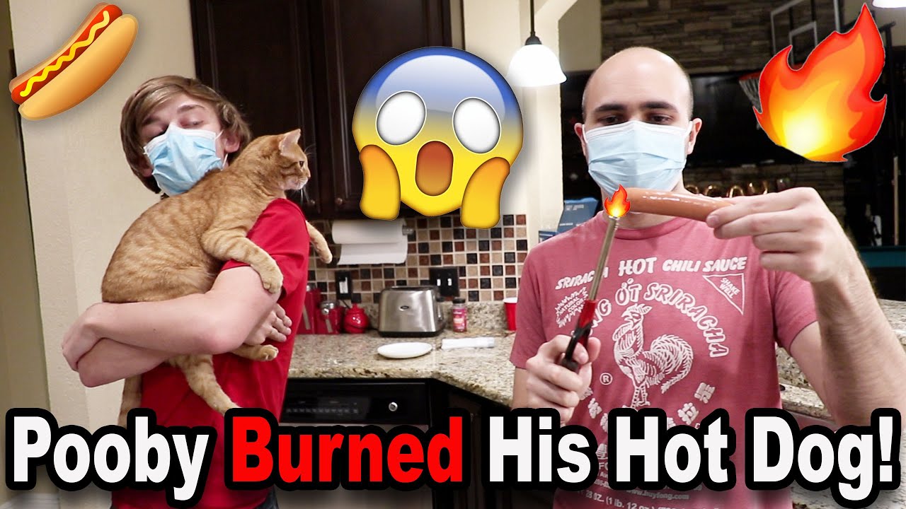 Pooby BURNED His Hot Dog!!! *BTS* - YouTube