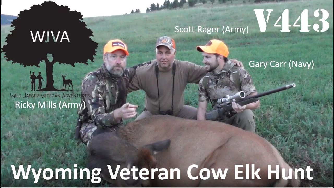 Wyoming Veteran Cow Elk Hunt, with Ricky Mills V443 - YouTube