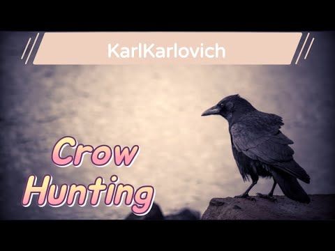 Кроухантинг - Эпичные Крушения | Air Rifle Hunting - Footage of the ...