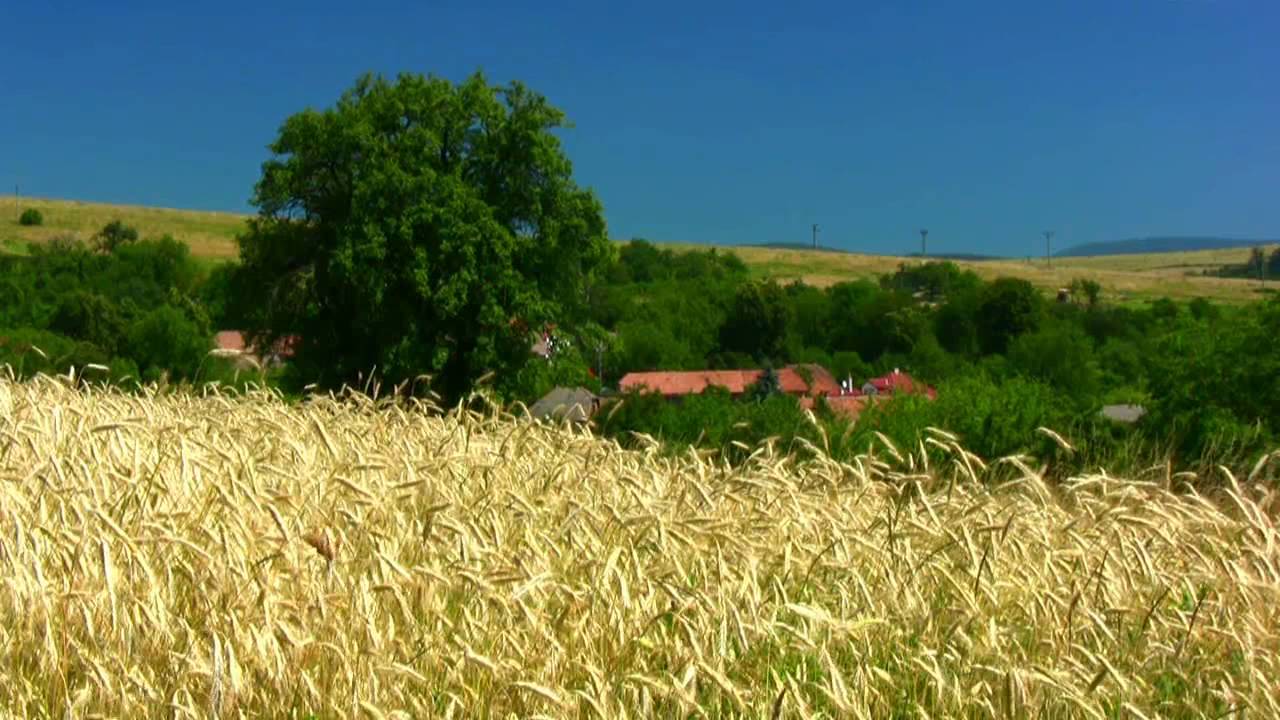 Brestovec - okolie zeleznicnej stanice a tunela - YouTube