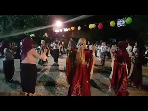 Kına Gecesi Gelin ve Arkadaşları / Ayancık Eymeleri