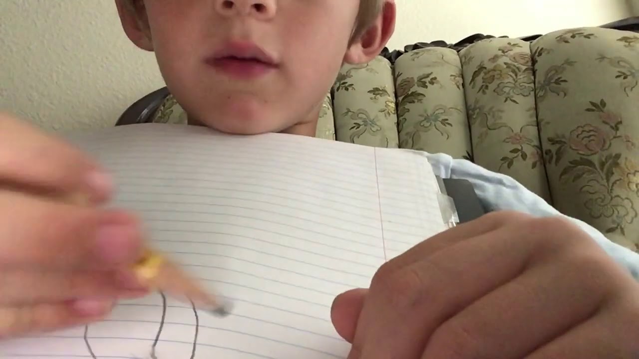 How to draw a peregrine falcon stooping - YouTube