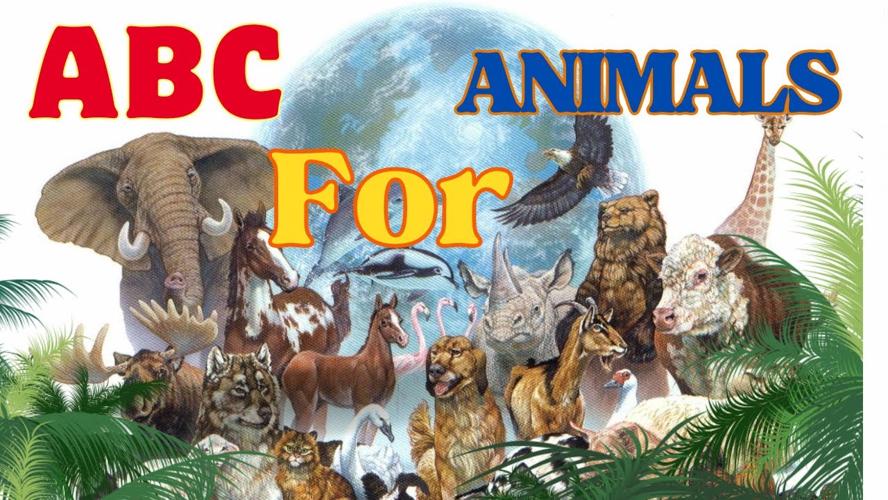 A B C D for Animals | ABC Animals for Children | Animals Alphabet - YouTube