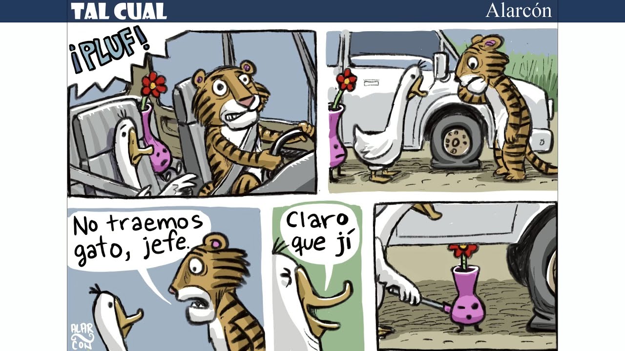Tal Cual: No traemos gato, jefe - YouTube