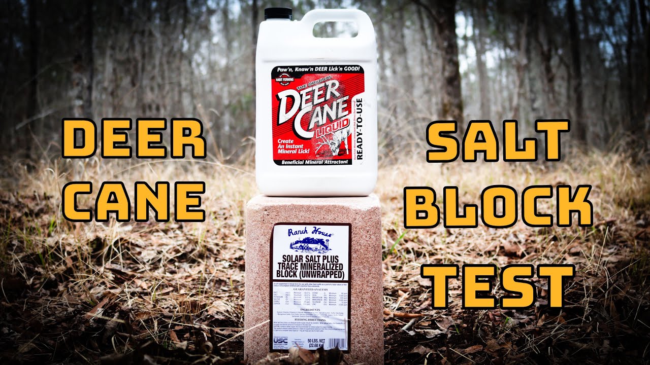 50lb Mineral Block Plus Deer Cane: You Won't Believe What Happened ...