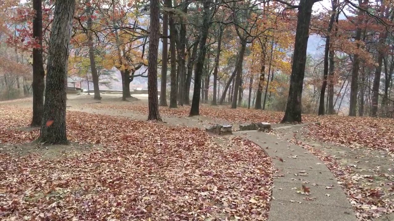 Signal Point - YouTube