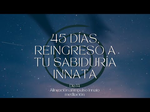 Meditación anillo 14: Alineación al impulso innato
