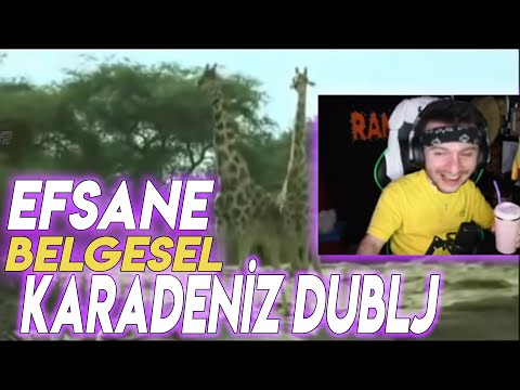RAMMUS53 - HAYVANLAR ALEMİ KARADENİZ DUBLAJ İZLİYOR