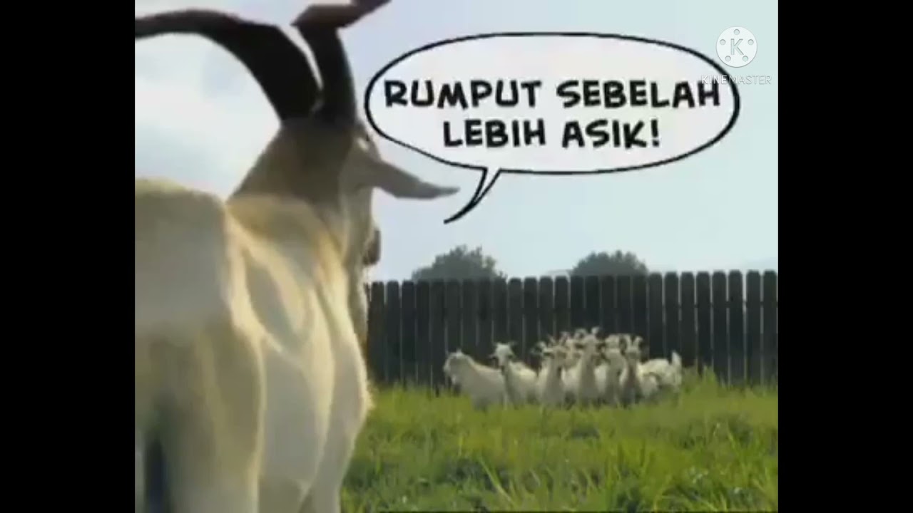 Iklan LA Lights (2021-2022) - YouTube