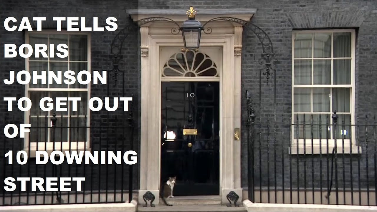 Larry the Cat Goes to Downing Street to Get British Prime Minister ...