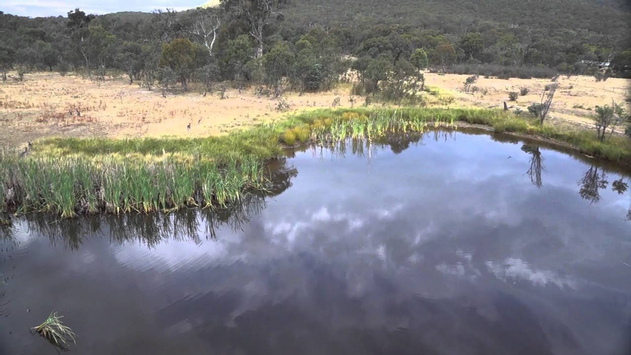 Canberra Nature Park - Aranda - YouTube