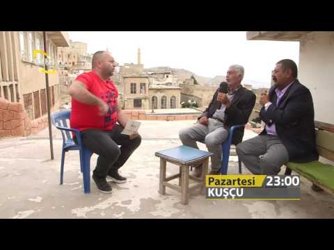 Kuşçu - Medeniyetler Şehri Mardin Güvercinleri