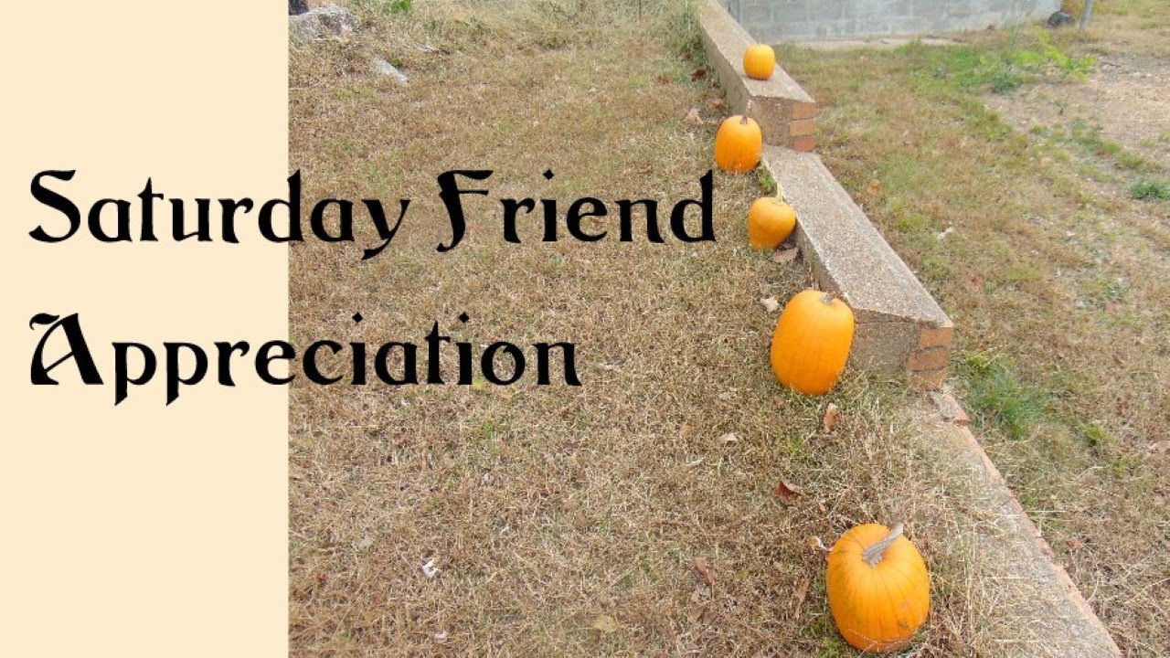 Saturday Friend Appreciation - YouTube