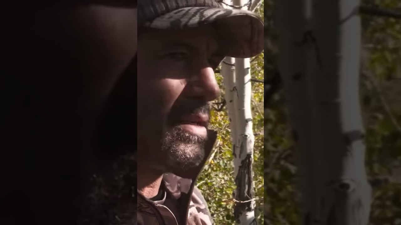 JOE ROGAN perfectly takes MASSIVE BULL ELK (w/ Bow) with Cam Hanes!!😱 # ...