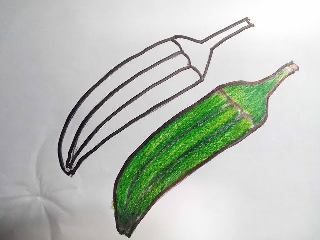 Lady Finger Drawing For Kids