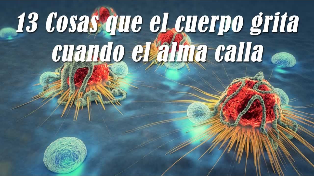 13 Cosas que el cuerpo grita cuando el alma calla - PRIMERA PARTE - YouTube
