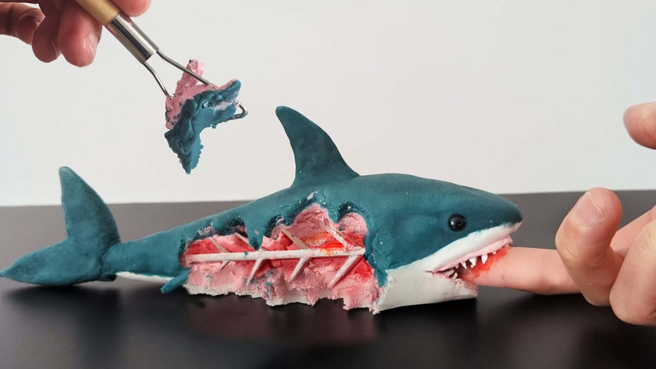 Watch Me Create a Shark Fimo Clay Model That Comes to Life... and ...