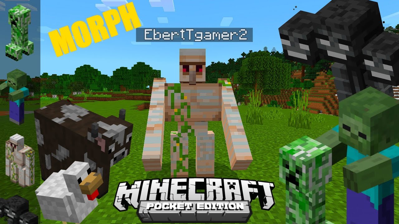 Atualizou!! COMO SE TRANSFORMAR EM QUALQUER MOB NO MINECRAFT PE ( Morph ...