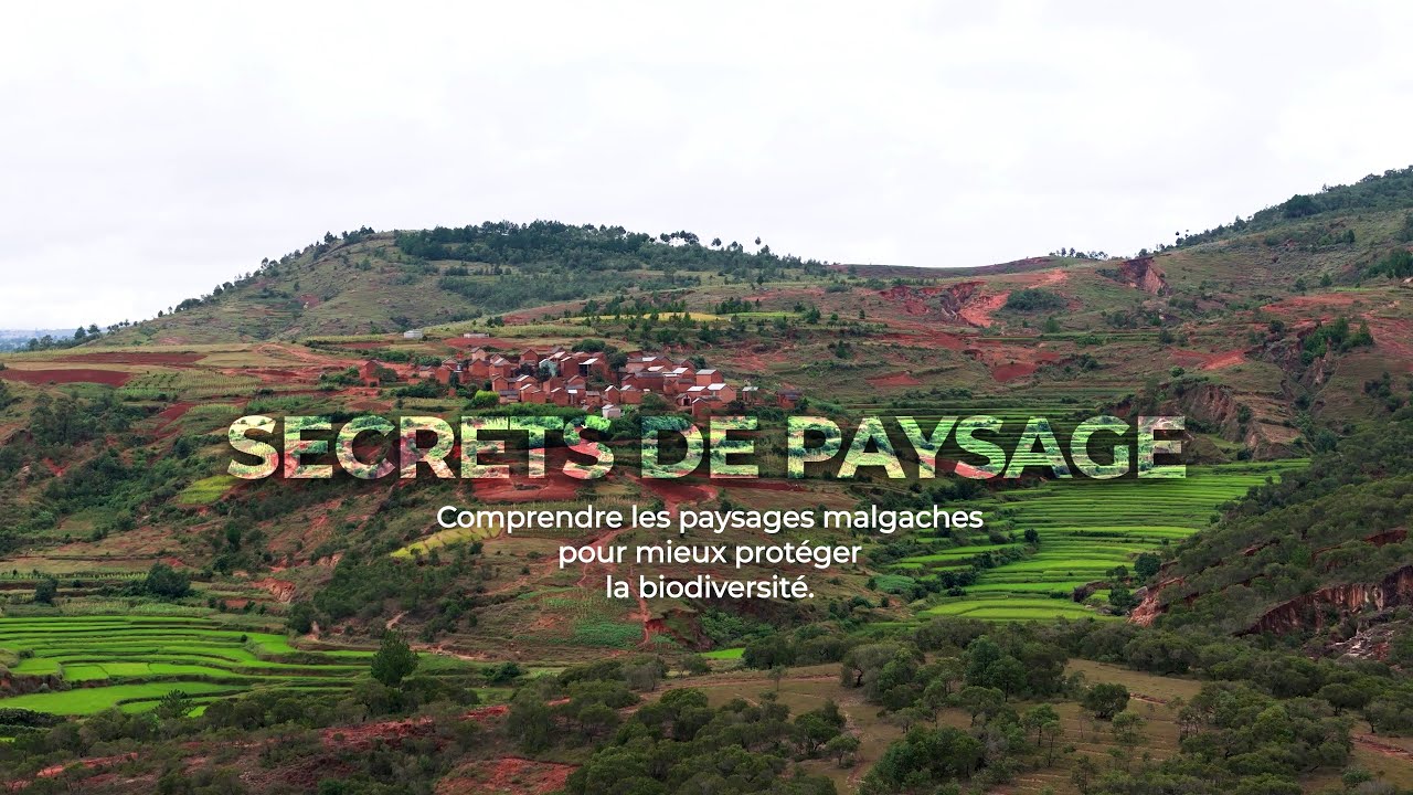 Secrets de paysage - Comprendre les paysages malgaches pour mieux ...