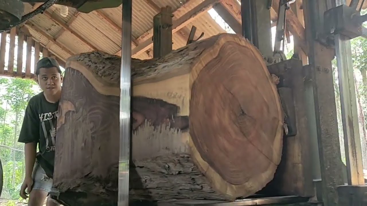 excellent wood cutting, sono sawing of dense, hard wood with beautiful ...