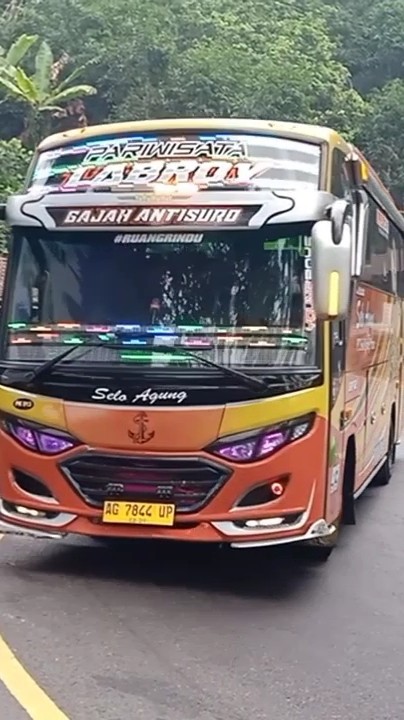bus pariwisata Selo agung melintasi Embong kembar #automobile #truk # ...