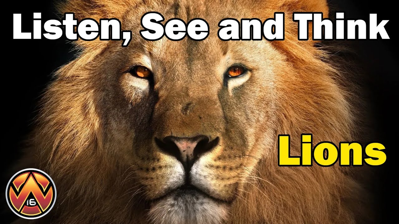 Listen, See and Think: Episode 269 (Lions) - YouTube