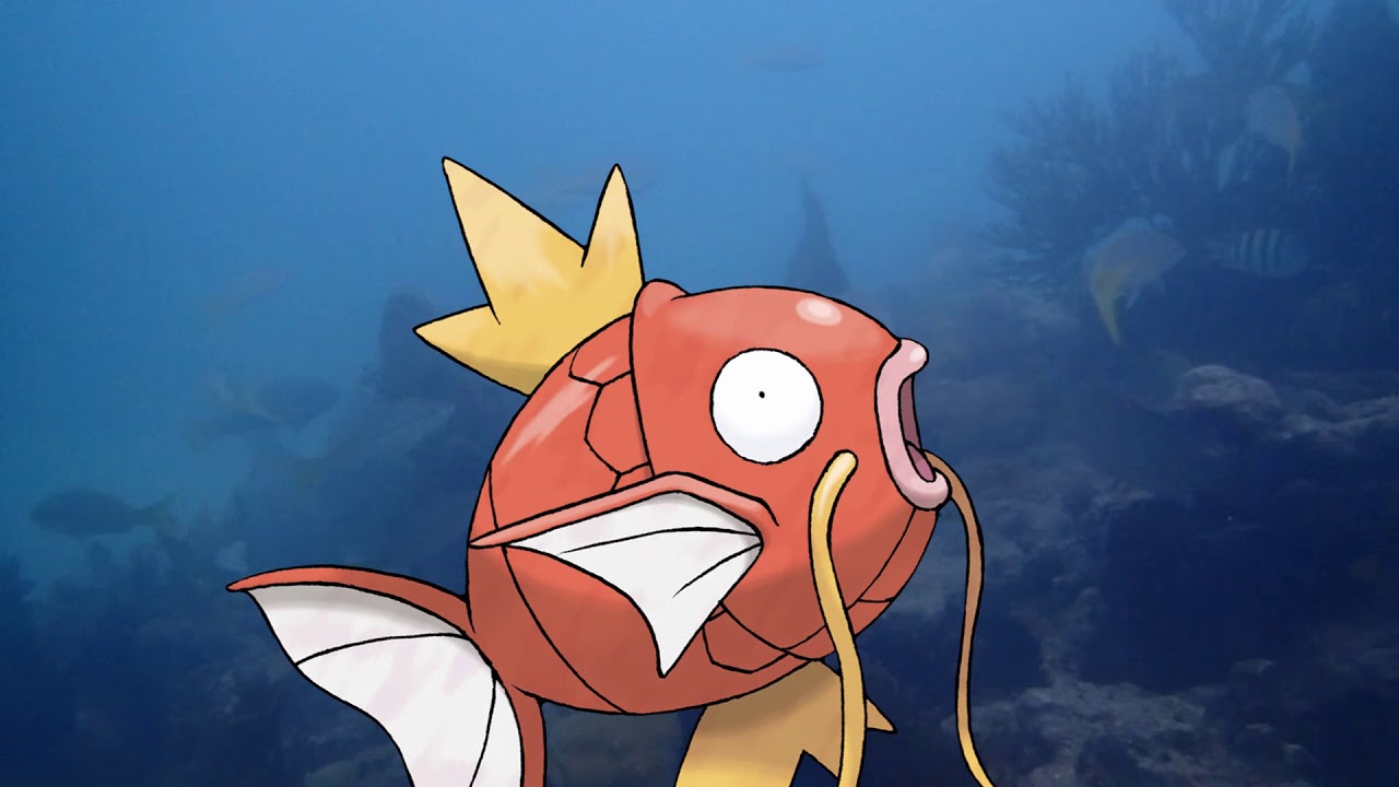 magikarp - YouTube