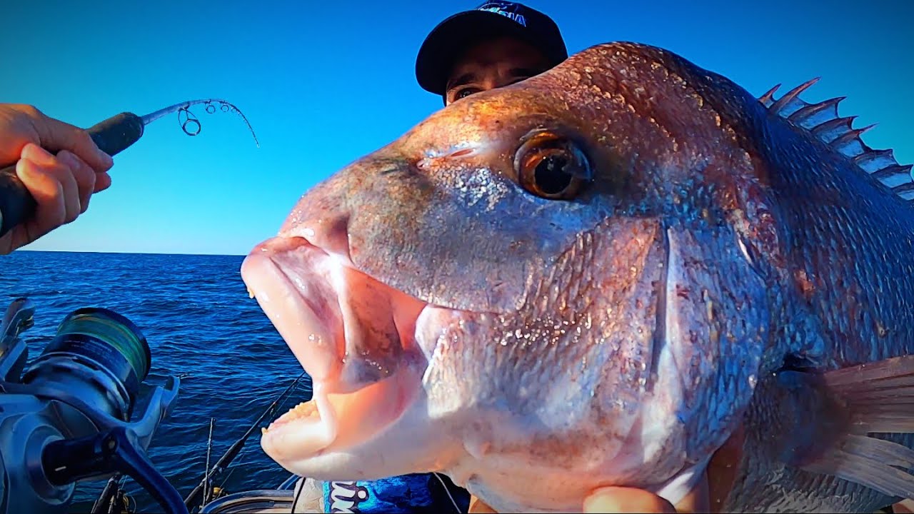 MONSTER SNAPPER AND GUMMY SHARK FISHING - YouTube