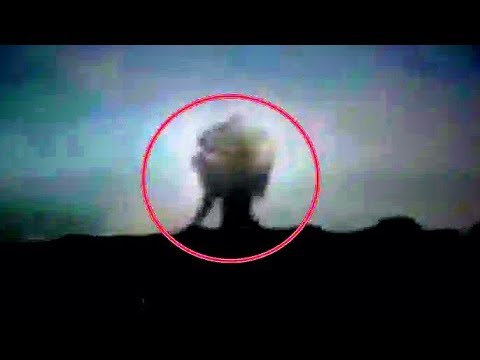 MOVING TREES CAUGHT ON CAMERA & SPOTTED IN REAL LIFE! - YouTube