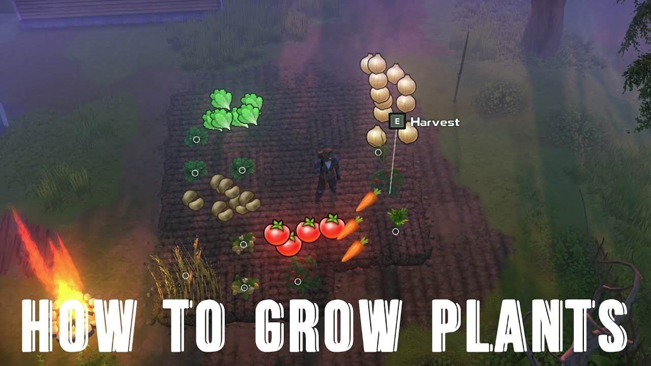 Dysmantle how to farm and plant seeds - YouTube