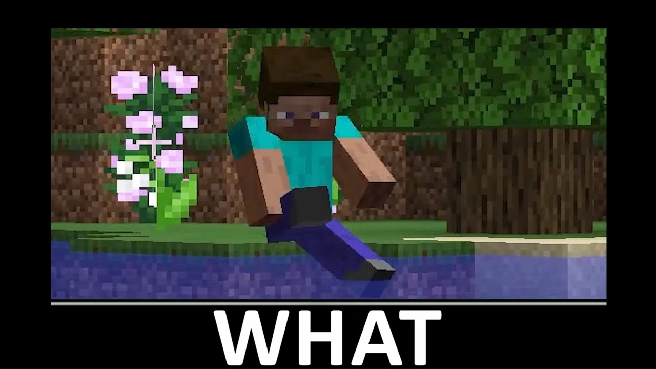 Minecraft wait what meme part 19 - YouTube