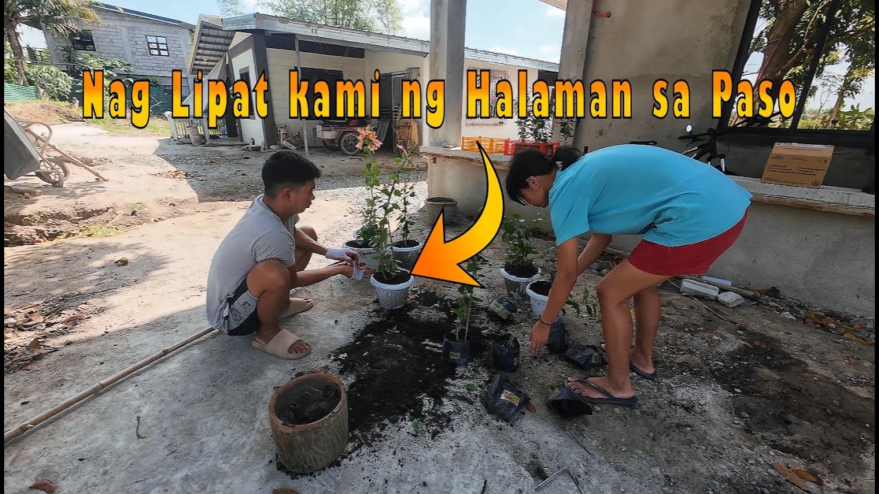 Nag Lipat kami ng Halaman sa Paso - YouTube