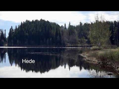 Hede