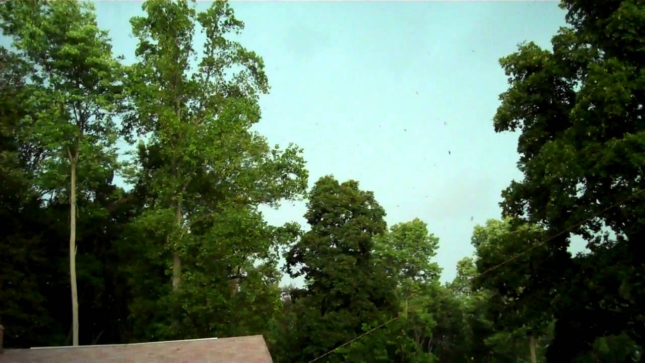 Gust Front - YouTube