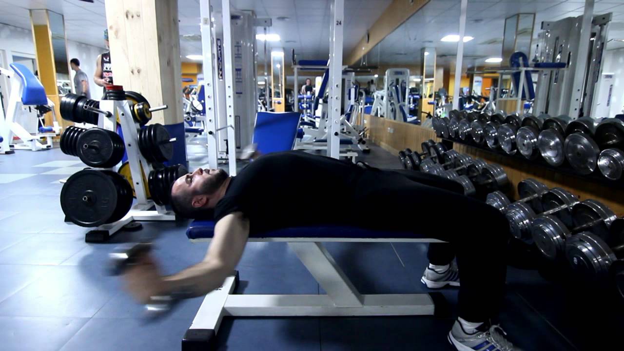 PECHO circulos banco plano - YouTube