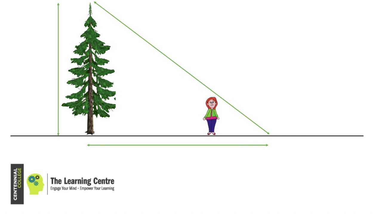 Solving Similar Triangle Applications - YouTube