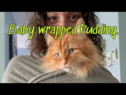 I tried a baby wrap with my orange cat. - YouTube