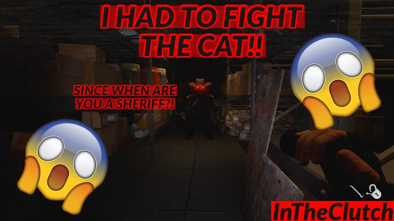 Case Animatronics 2 - Part 4 (The Owl Joins The Fun) - YouTube