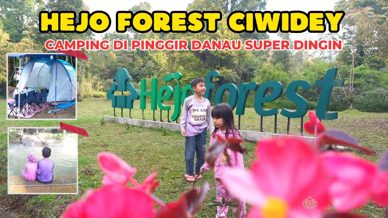 TEMPAT CAMPING ADA KOLAM AIR PANAS ‼️ CAMPING KELUARGA DI HEJO FOREST ...