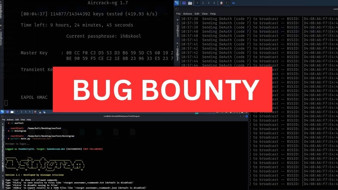 افضل المنصات لبرامج الـ Bug Bounty - YouTube