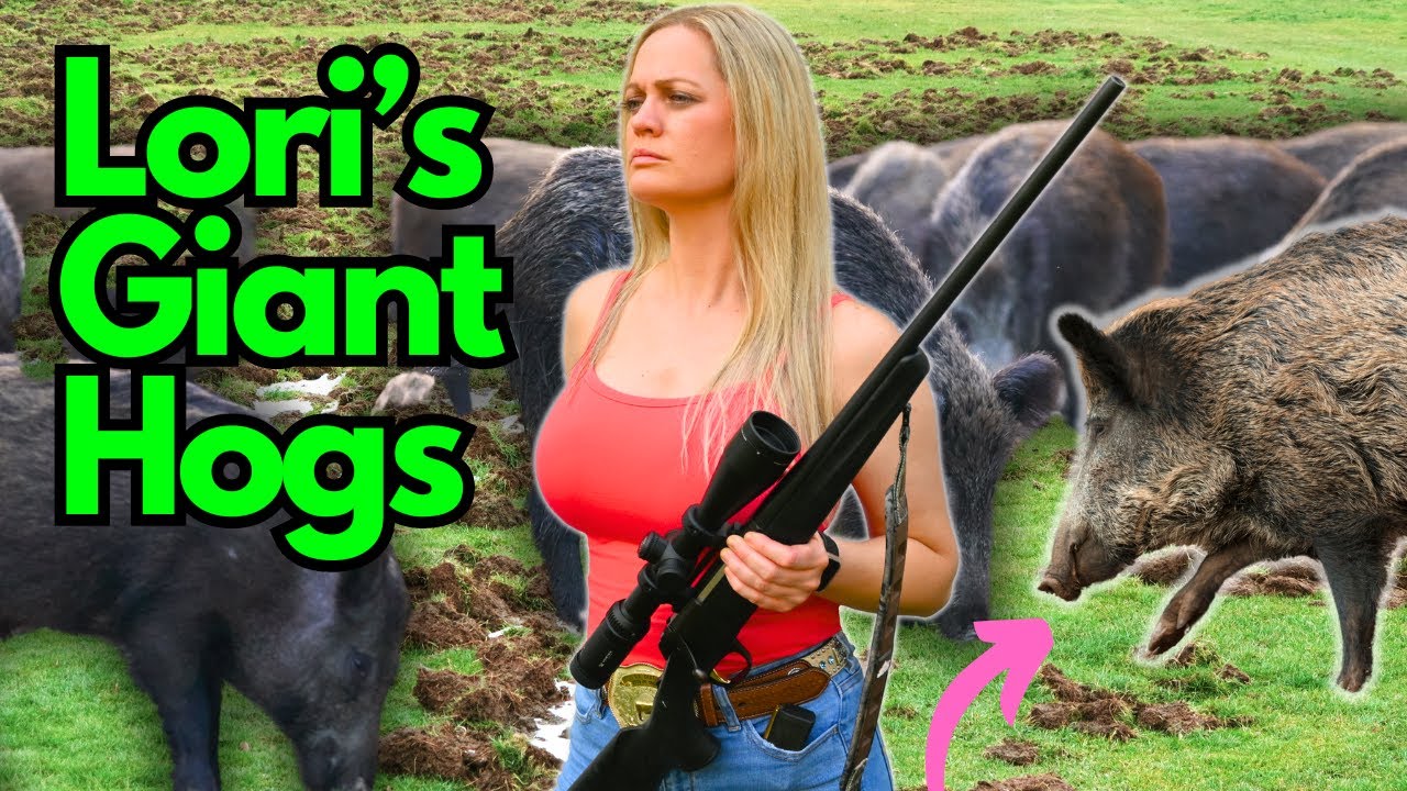 She Goes WILD HOG HUNTING. Biggest Hogs Ever Seen! - YouTube
