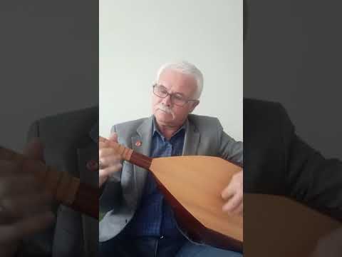 mejnun gönlüm
