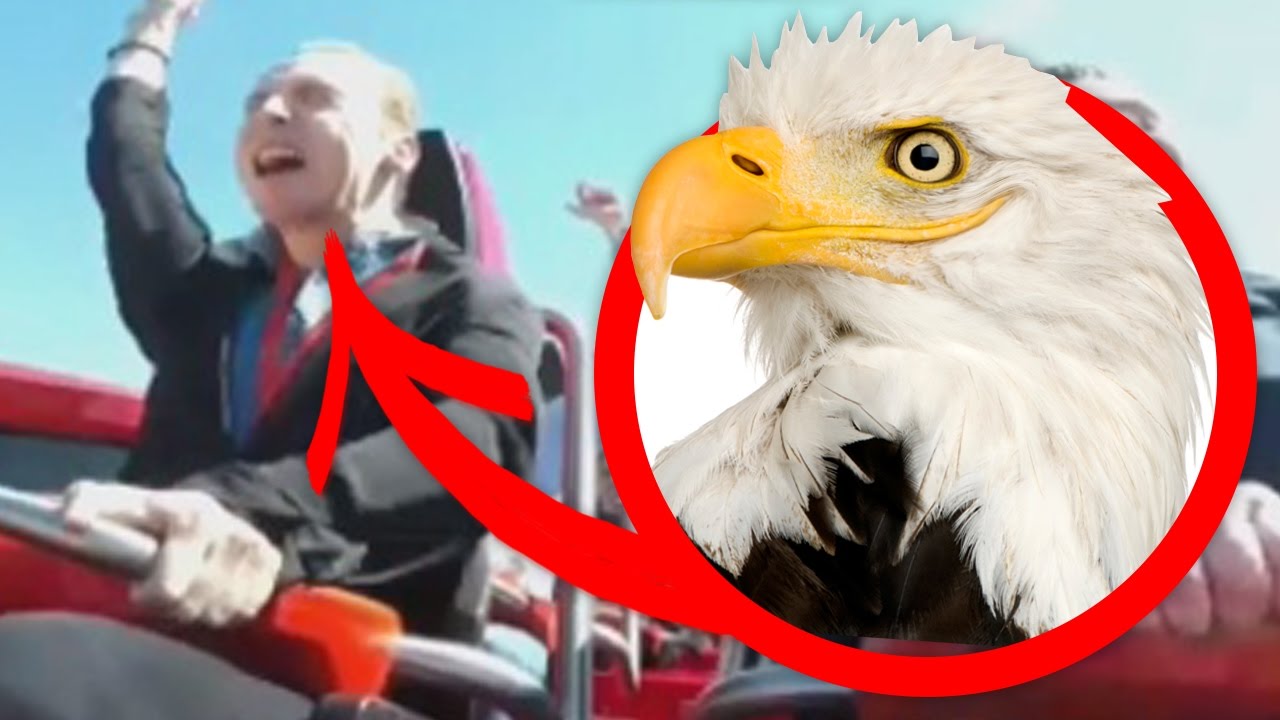 BIRD CRASH !!!! ( Roller Coaster) - YouTube